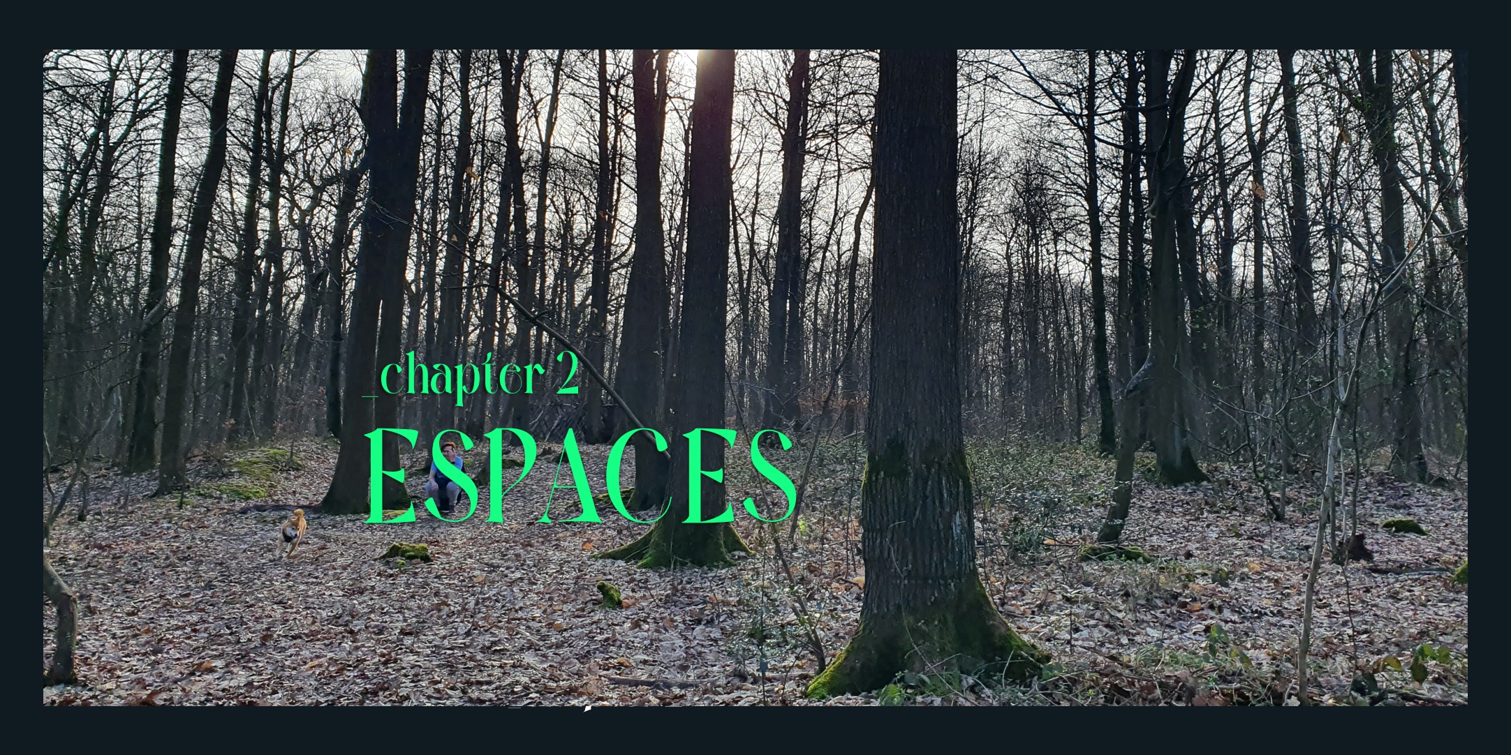 _chapter 2, Espaces – Lively Family